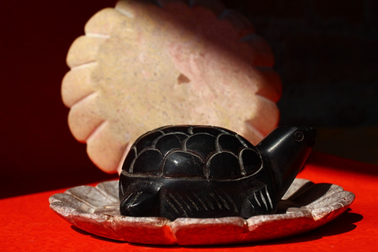 Gaura Stone Turtle - directcreate.com